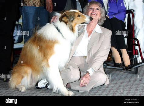June Lockhart And Lassie Usps Early Tv Memories Stamps Unveiled At The