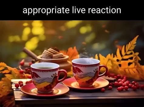 On Appropriate Live React IFunny