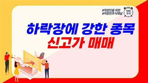 하락장에 강한 종목 신고가 매매 Youtube