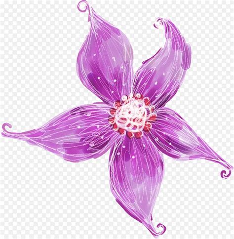 Png Png