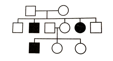 Study The Pedigree Chart Given Below What Does It Know Sarthaks