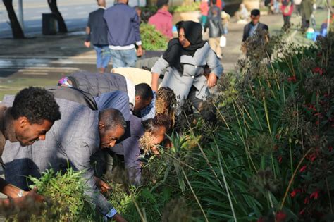 ጳጉሜን በበጎ በአዲስ አበባ ከተማ አስተዳደር የከተማ ውበት እና አረንጓዴ ልማት ቢሮ Facebook