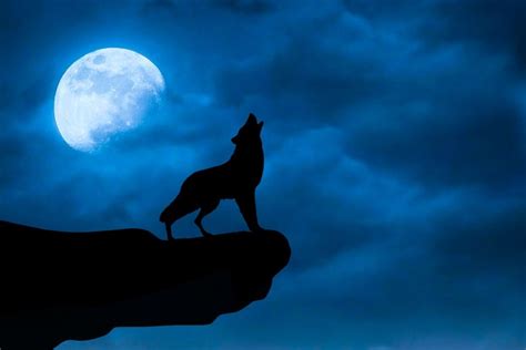 Full Moon Werewolf Howling