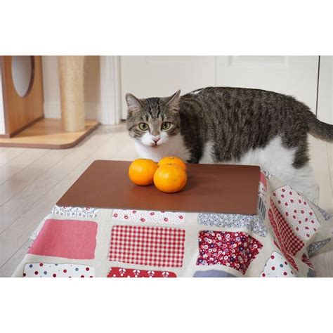 価格com ネコ専用こたつ付きみかん「猫と、こたつと、思い出みかん」が正式発売