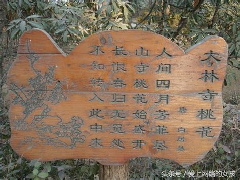 唐代大詩人白居易葬在這裏 每日頭條