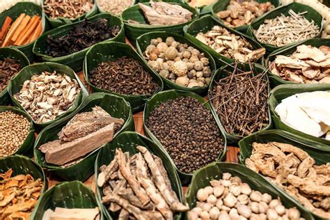 3 เทรนด์ สมุนไพร ยอดฮิตจากทั่วโลก แนะไทยศึกษาวิจัยสู่เชิงพาณิชย์