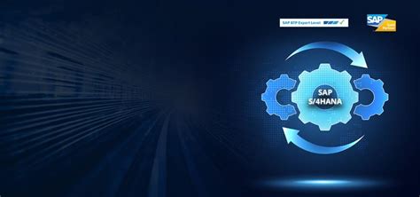 Zero Cost Sap S4hana Transformation