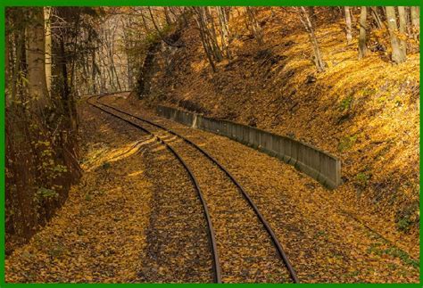 The History Of The Cpc Binary Barcode Color Plane Coding Barcode