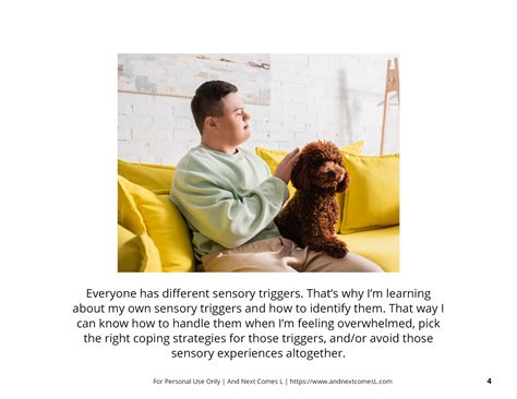 Identifying Sensory Triggers Social Story And Next Comes L