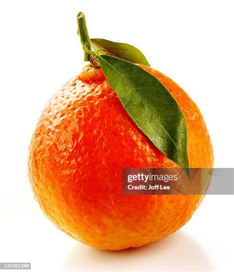 Clementine Photos And Premium High Res Pictures Getty Images