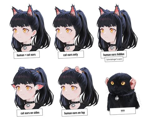Human With Cat Ears Anime
