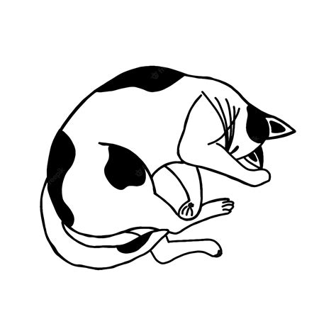Premium Vector Vector Illustration Of Sleeping Spotted Color Cat