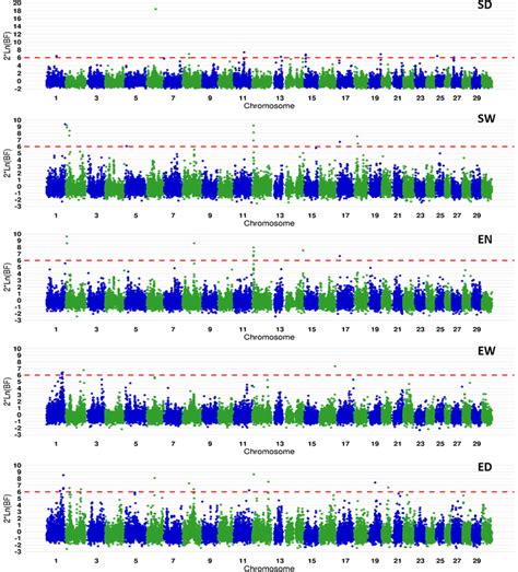 Manhattan Plot Of Qtl Detected Under Bayesian Gwas For Female