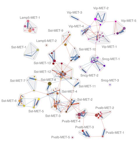 Cell Taxonomies Brain