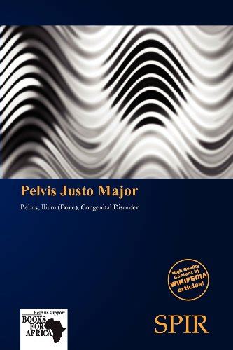 Pelvis Justo Major Pelvis Ilium Bone Congenital Disorder