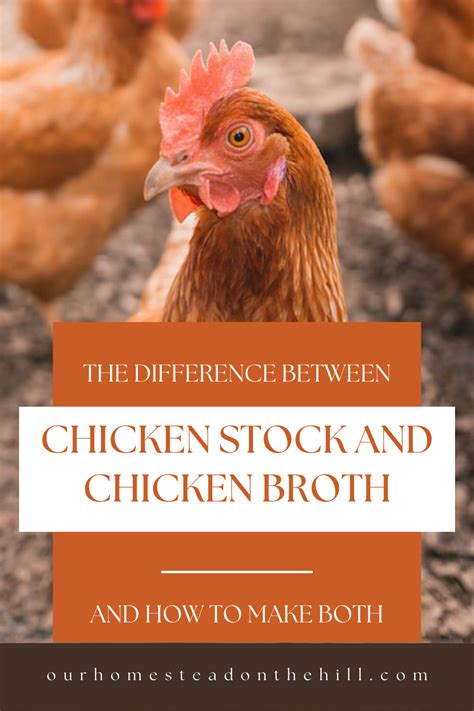 Chicken Stock Vs Chicken Broth What S The Difference Homestead On The Hill