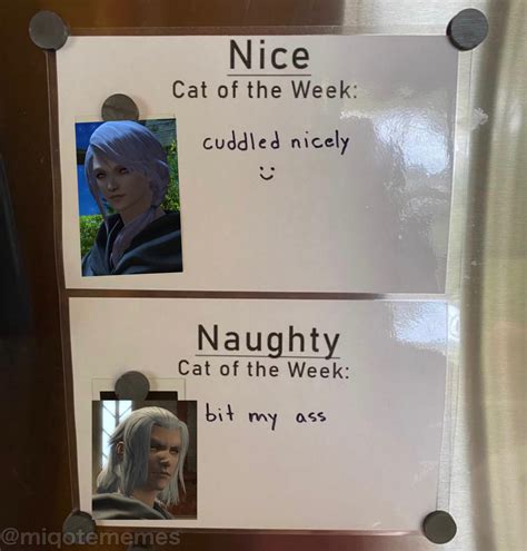 [spoiler 85 87 Msq Character Meme] R Ffxiv