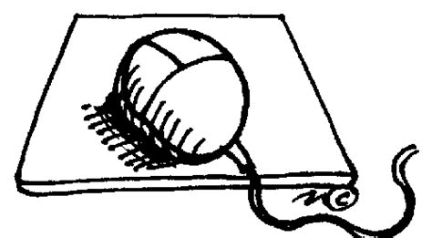 what are input devices of computer tanzila alam