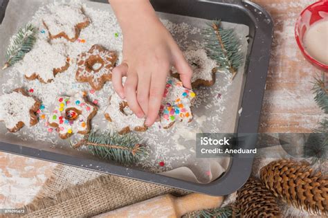 베이킹 트레이 회전 핀 모양 및 재료 테이블에 크리스마스 쿠키를 들고 여자의 손 가정 주방에 대한 스톡 사진 및 기타 이미지 가정 주방 가정의 방 곰 Istock