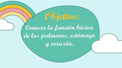 Clase Función de los órganos profe social