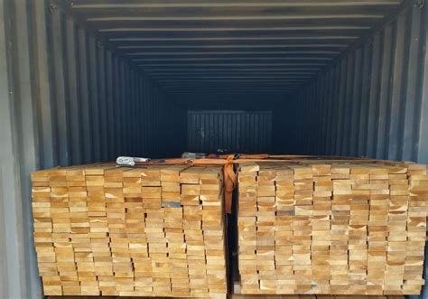 Panam Exporta Primer Contenedor De Teca Procesada A Dinamarca