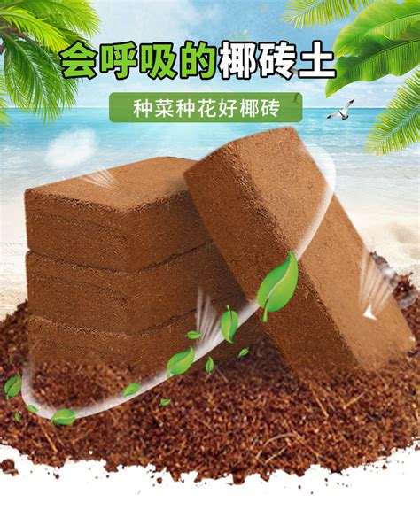 无菌椰糠砖椰土阳台种菜无菌种植土脱盐椰砖月季花土营养土通用型 阿里巴巴
