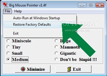 Big Mouse Pointer Compartolid Es
