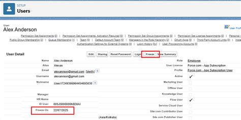Freeze User Accounts Using Salesforce Flow Complete Guide