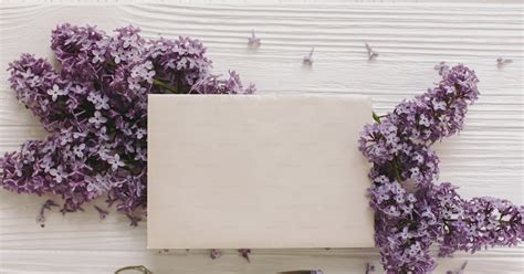 해피 어머니의 날 아름 다운 라일락 꽃과 빈티지 가위에 세련 된 카드 흰색 소박한 나무에 연필 상위 뷰 행복한 여성의 날 꽃 인사말 카드 템플릿 텍스트 공간 사진