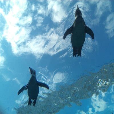 On Twitter