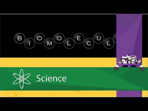 Biomolecules The Lipids YouTube