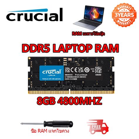 Crucial Ram Ddr5 Notebook 8gb 16gb 32gb แรม 4800mhz 5600mhz Sodimm 11v