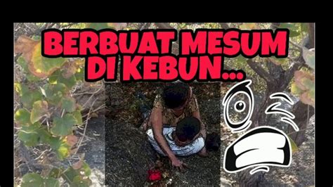 KETAHUAN BERBUAT MESUM DI KEBUN JERUK YouTube