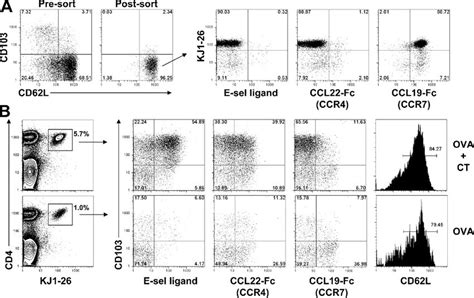 T Reg Cells Alter Their Tissue Tropism After Antigen Stimulation A