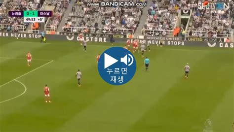 해설뉴캐슬v아스날 전반막판 양팀 신경전 ㄷㄷㄷ 유머움짤이슈 에펨코리아
