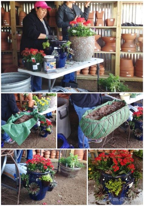 Como Plantar Lindos Maceteros Con Variedad De Flores La Cocina