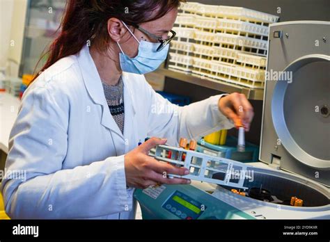 Medical Analysis Laboratoryical Analysis Laboratory Technician Placing