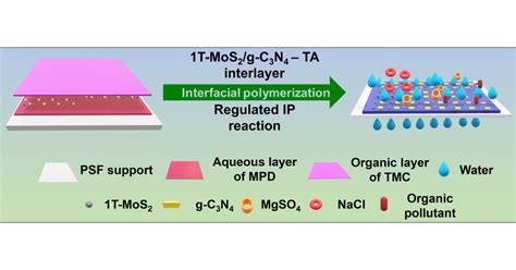 Tannic Acid Functionalized MoS And G C N Thin Film Lamellar Membranes For Improved Permeance