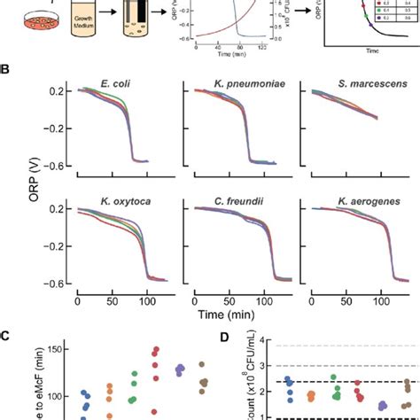 Accelerated Ast Workflow With Equant The Current Laboratory Workflow Download Scientific
