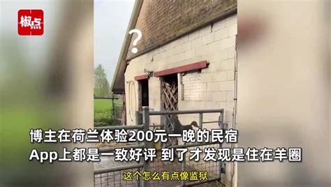 女子体验荷兰200元一晚民宿：紧邻羊圈，像监狱也像地牢视频羊城睡袋