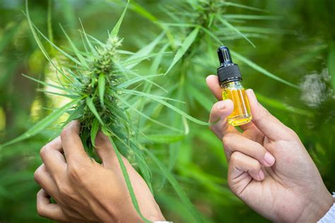 How To Choose A Cbd Product In 2020 Cannabidiol 360