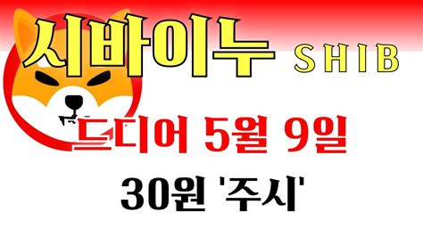🔴live 시바이누 드디어 5월 9일입니다 30원 간다 오늘은 시바만 지켜보시면 됩니다 시바이누코인