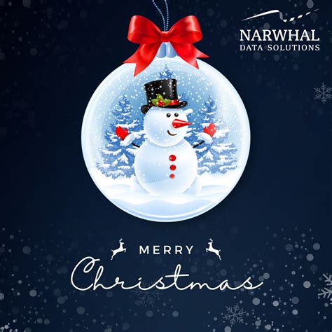 Narwhal Data Solutions Gmbh On Linkedin Merrychristmas Seasonsgreetings