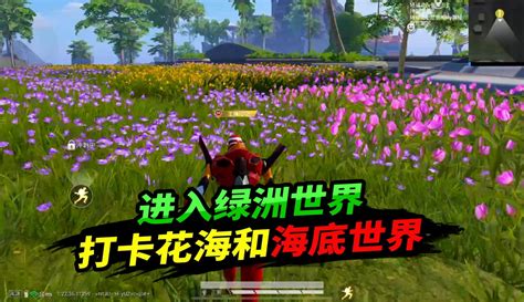 【南美小猴子】和平精英：教你如何进入绿洲世界，打卡花海和海底世界！ 98万粉丝485点赞游戏视频 免费在线观看 爱奇艺