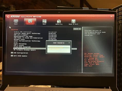 Whats The User Scenario Setting Do In The Msi Bios Its Currently Set