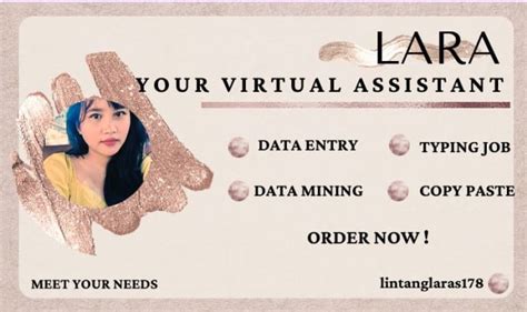 be your virtual assistant for data entry data mining copy paste web