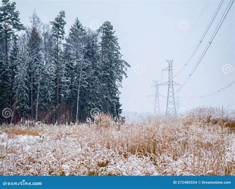 High Voltage Electricity Power Line Towers Near Forest At Winter Snow