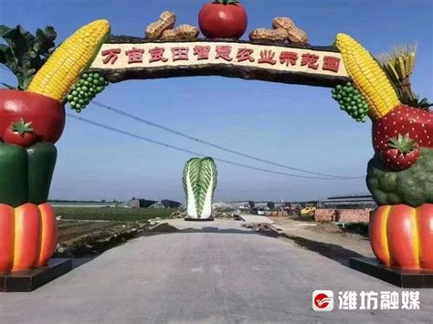 新型农业经营主体！我市又有2家入选全国典型案例 潍坊新闻 潍坊新闻网