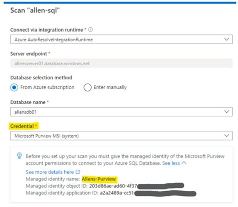 Microsoft Purview Data Sources Azure Sql Database Post 4 Allen