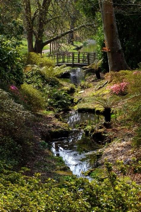 Nature Artofit